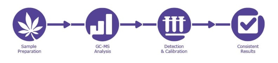 Lab Overflow - Empowering cannabis testing labs to develop technology ...